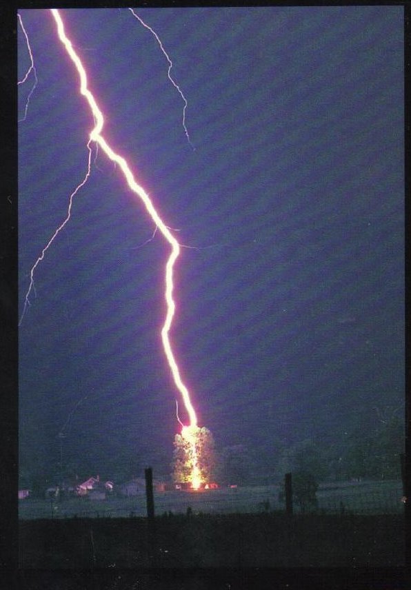 Lightning Strike Weather Phenomenon Picture Postcard