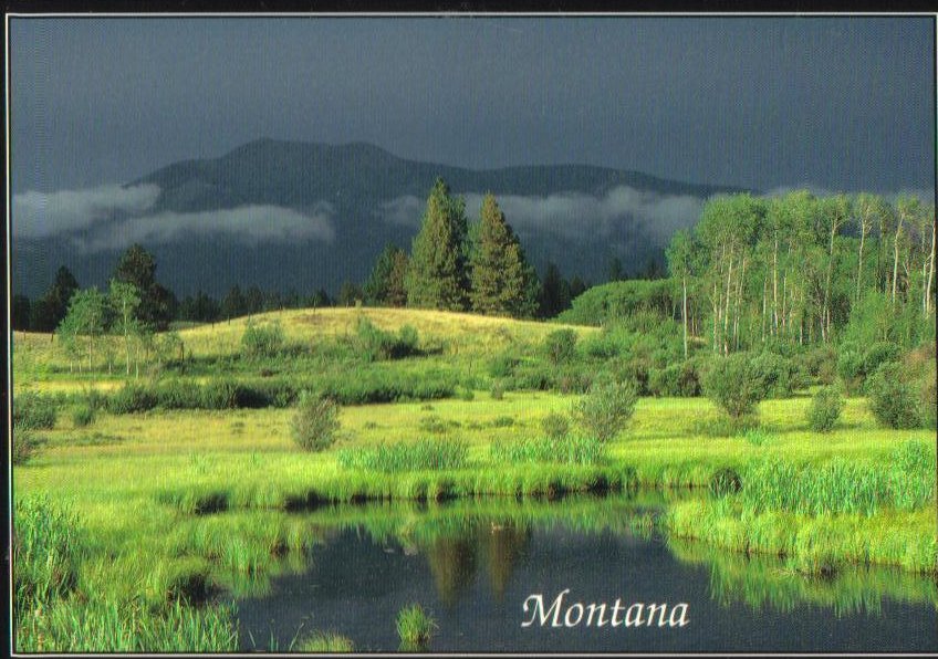 Ovando Mountain, Montana Postcard